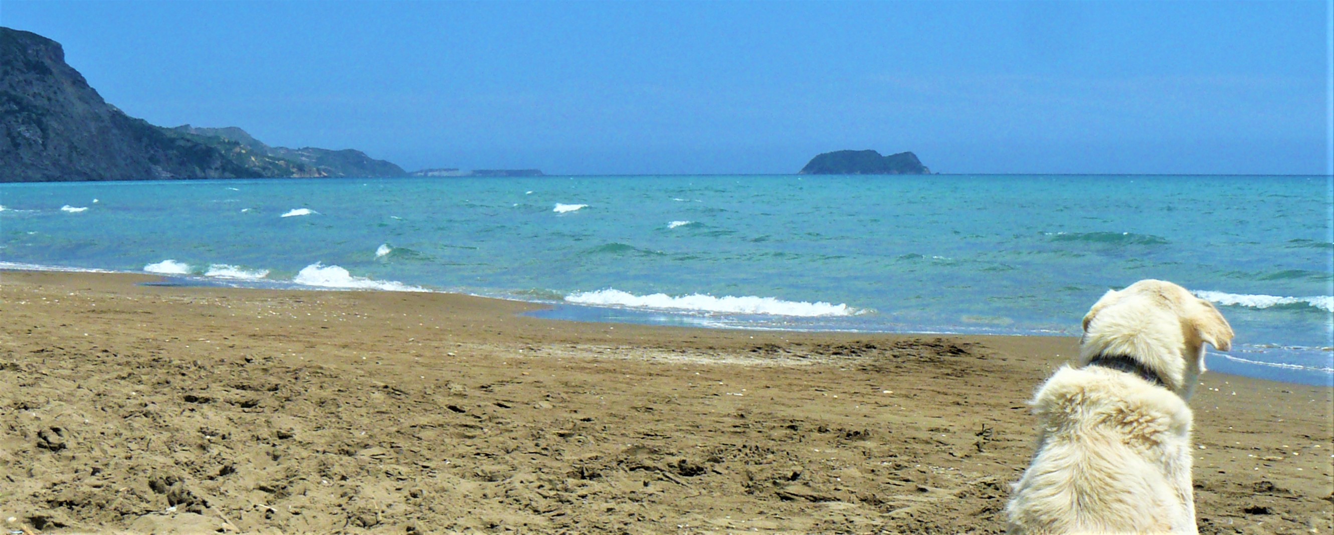 Visiting Laganas Bay – Home to Loggerhead Sea Turtles and Careless ...